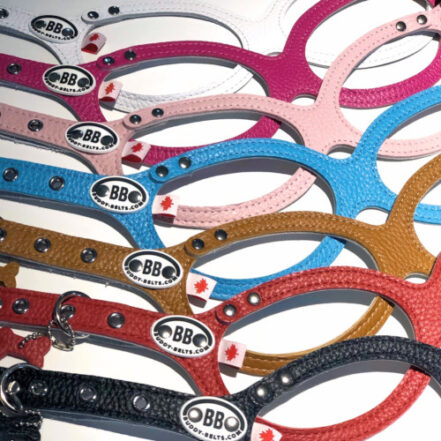 Buddy Belt® - The #1 No Pull Dog Harness. Simply the Best!